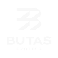 Butas Exotics